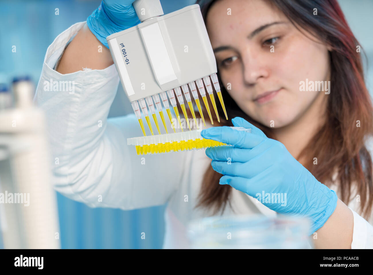 Woman technician with multipipette in genetic laboratory PCR research ...