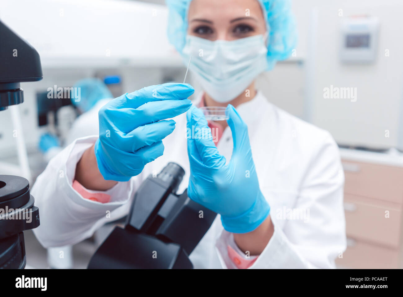 Fertilized egg hi-res stock photography and images - Alamy