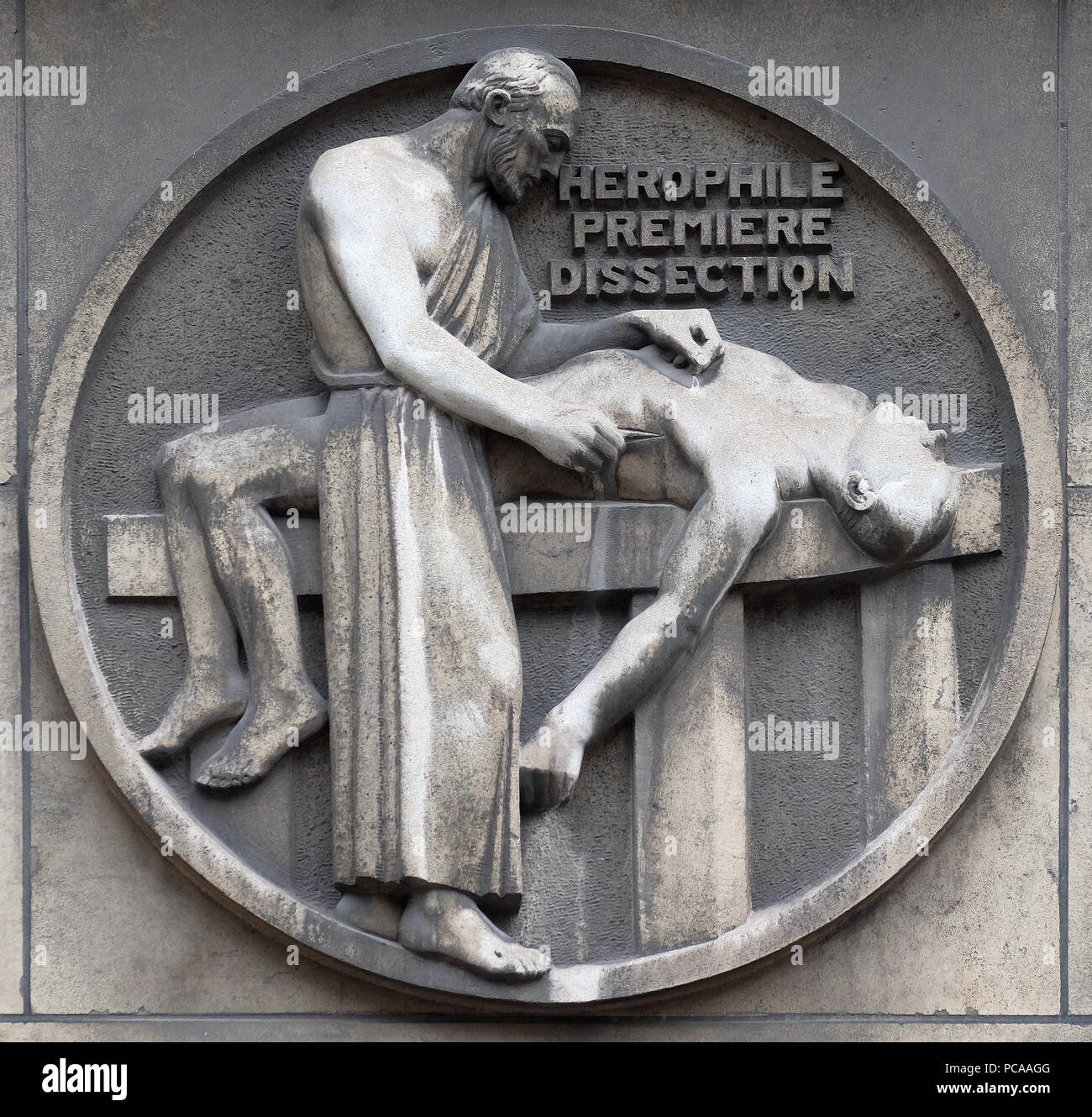 Herophilos, the first dissection. Stone relief at the building of the ...