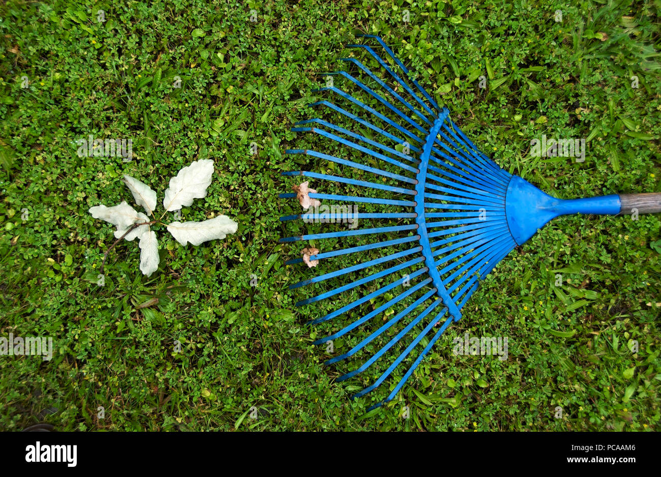 Blue rake hi-res stock photography and images - Alamy