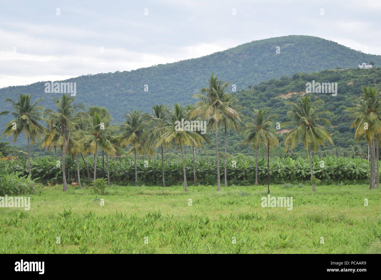 Seeing things differently hi-res stock photography and images - Alamy