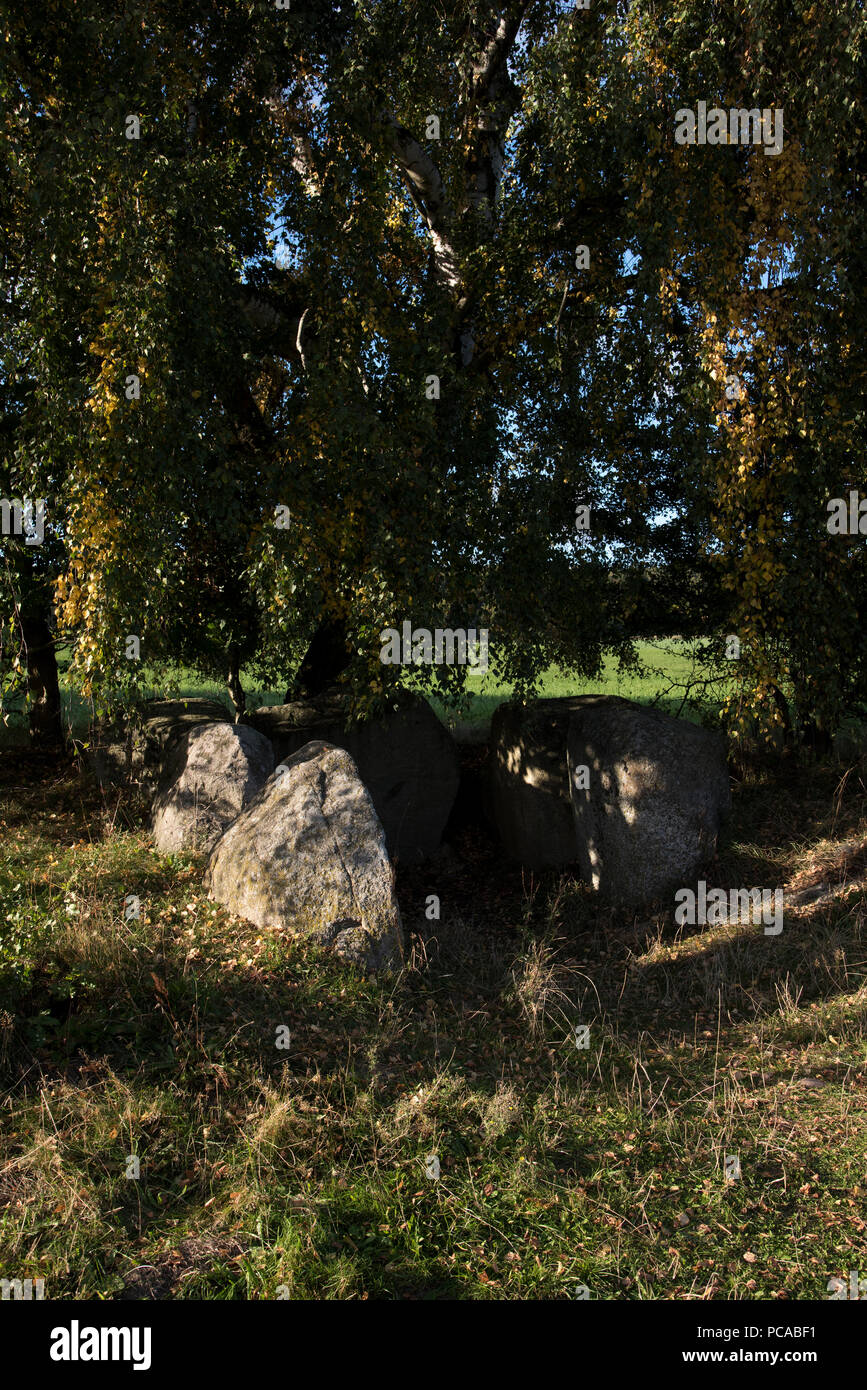 5500 year old megalithic great dolmen near Lancken-Granitz in the ...