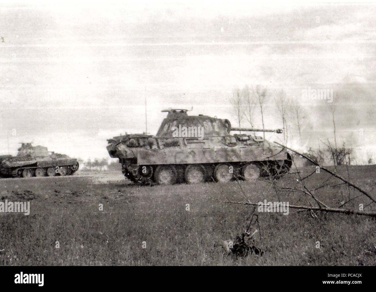 German Panther Tanks SS Wiking Division Stock Photo - Alamy
