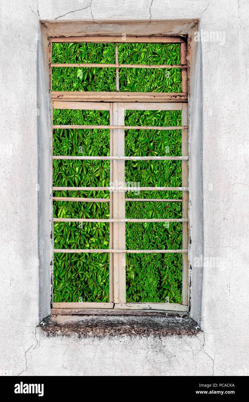 Nostalgic shutter design hi-res stock photography and images - Alamy