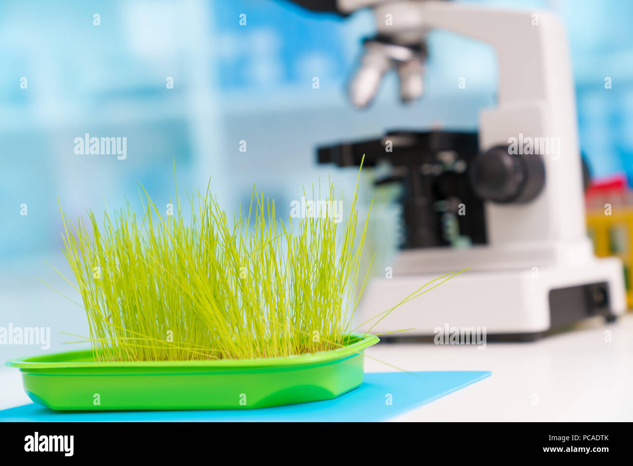 Grass end microscope in biological lab Stock Photo - Alamy