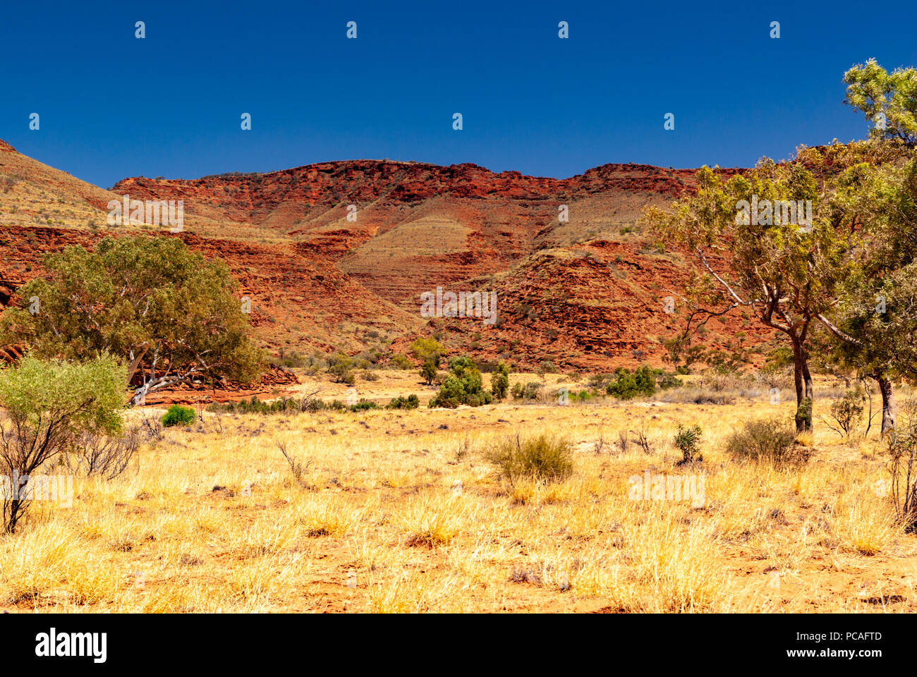 Finke Gorge National Park near Hermannsburg in Northern Territiory sout ...