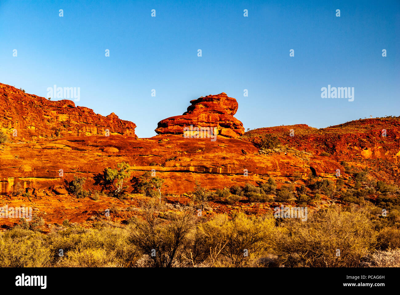 Palm Valley, Finke Gorge National Park in Northern Territory, Australia ...
