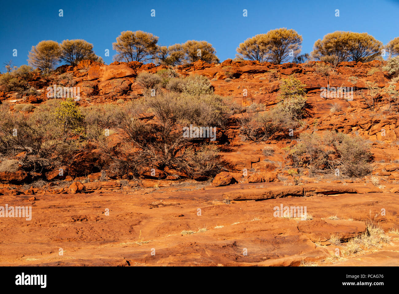 Palm Valley, Finke Gorge National Park in Northern Territory, Australia ...