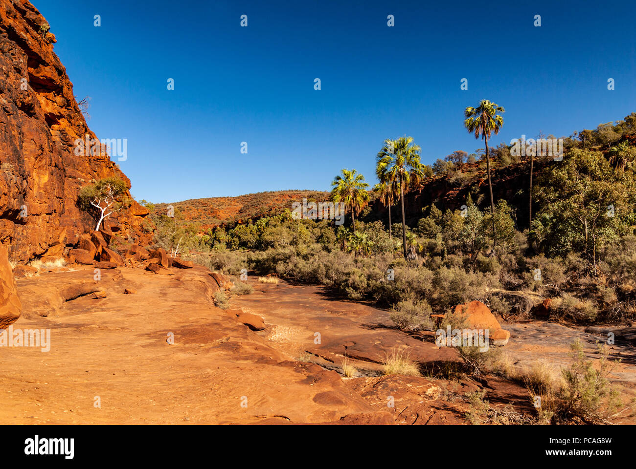 Palm Valley, Finke Gorge National Park in Northern Territory, Australia ...