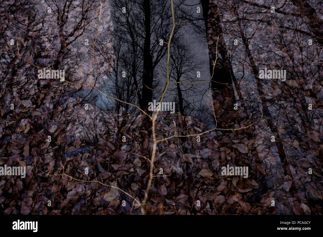 Environmental abstract nature landscapes from Glasgow, Scotland Stock ...