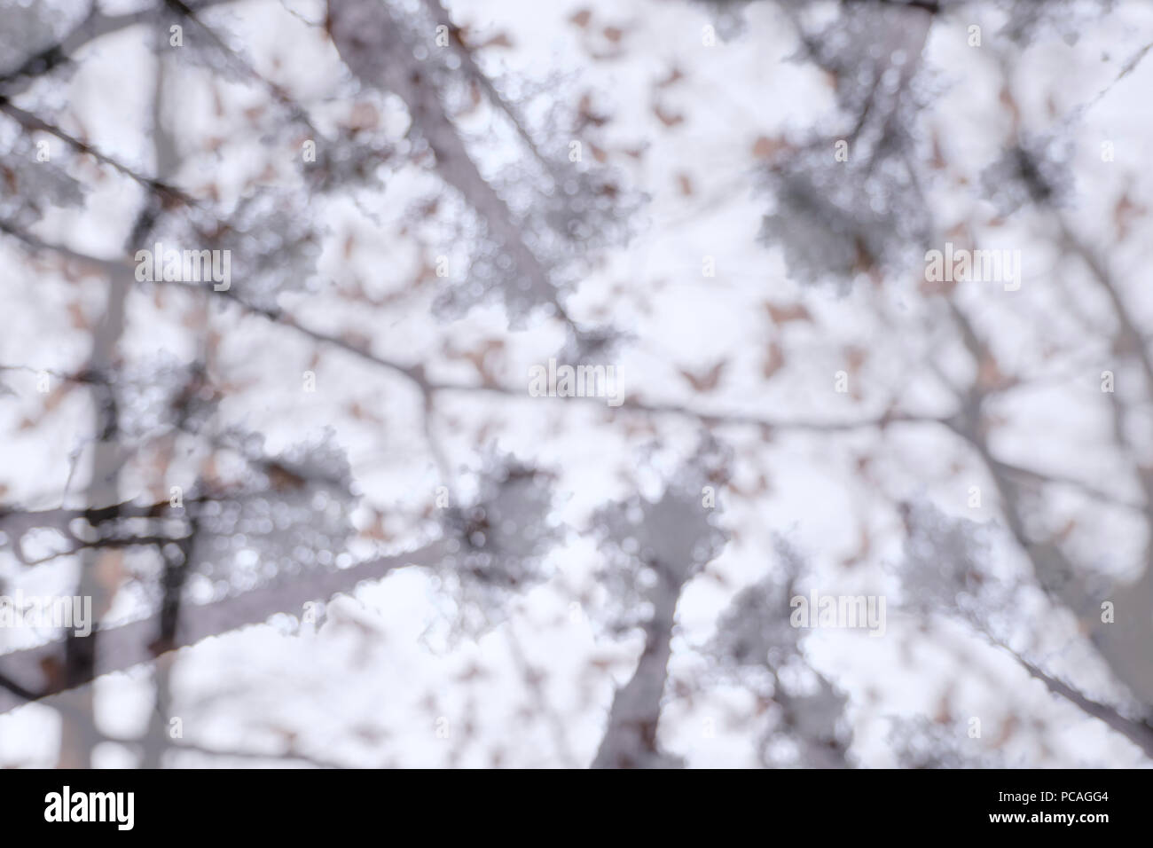 Environmental abstract nature landscapes from Glasgow, Scotland Stock ...