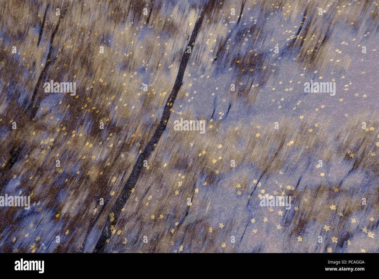 Environmental abstract nature landscapes from Glasgow, Scotland Stock ...