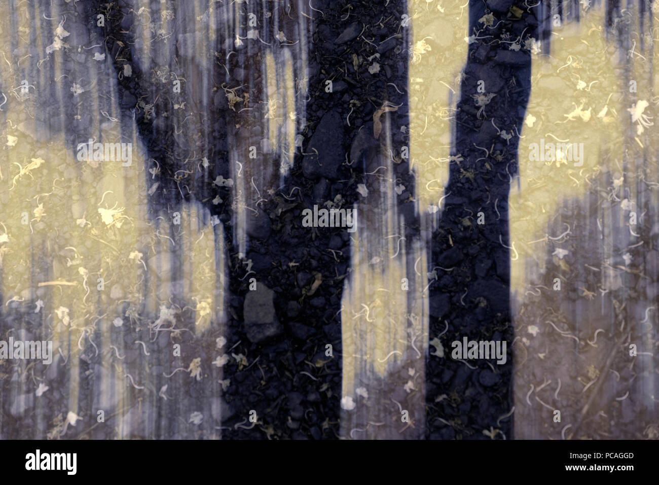 Environmental abstract nature landscapes from Glasgow, Scotland Stock ...