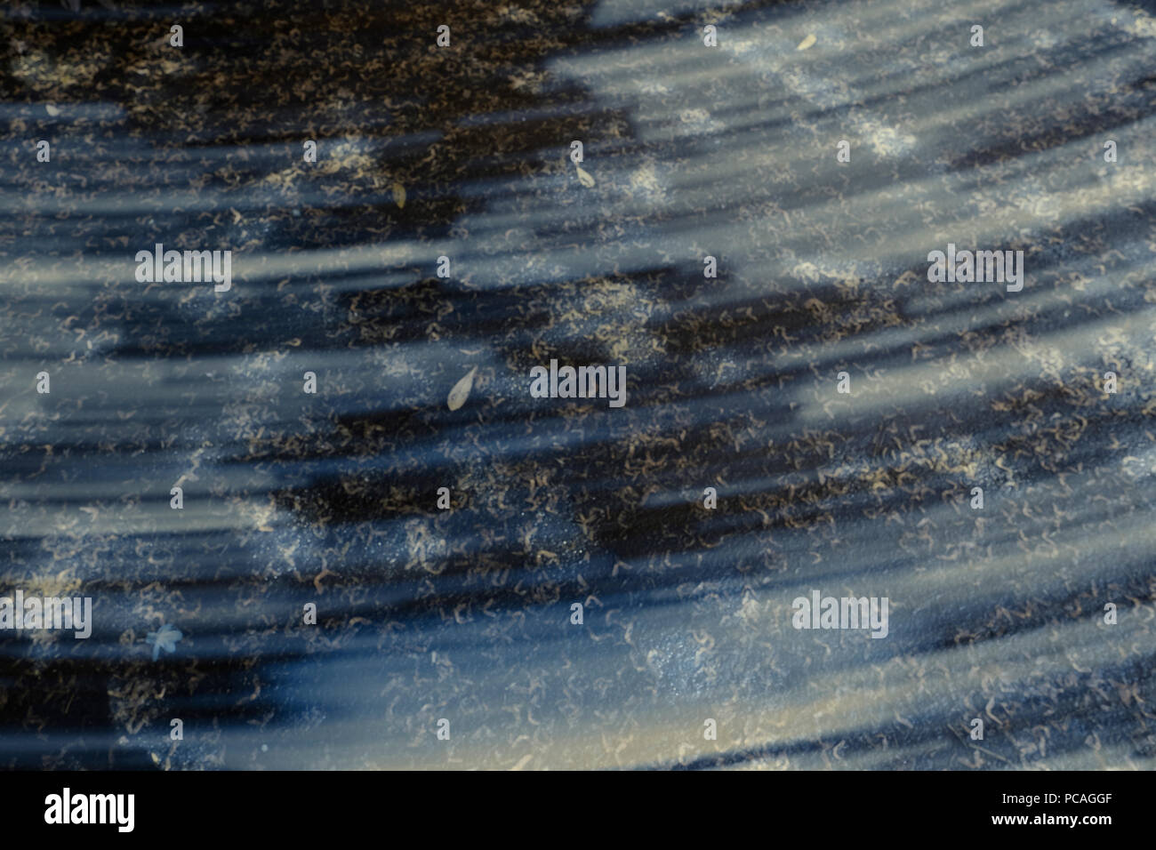 Environmental landscapes hi-res stock photography and images - Alamy