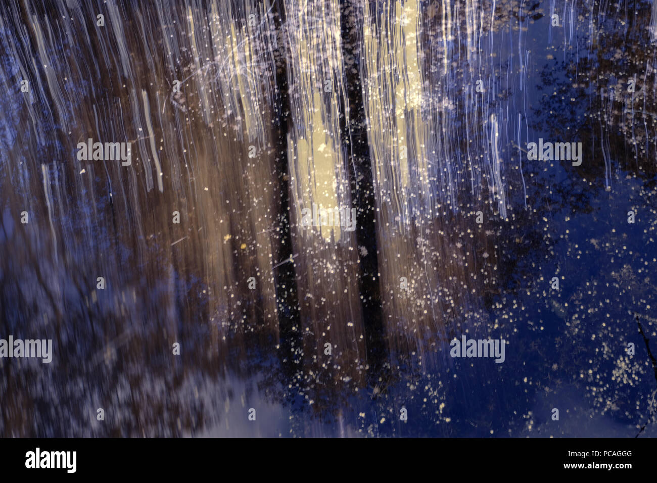 The environmental movement hi-res stock photography and images - Alamy