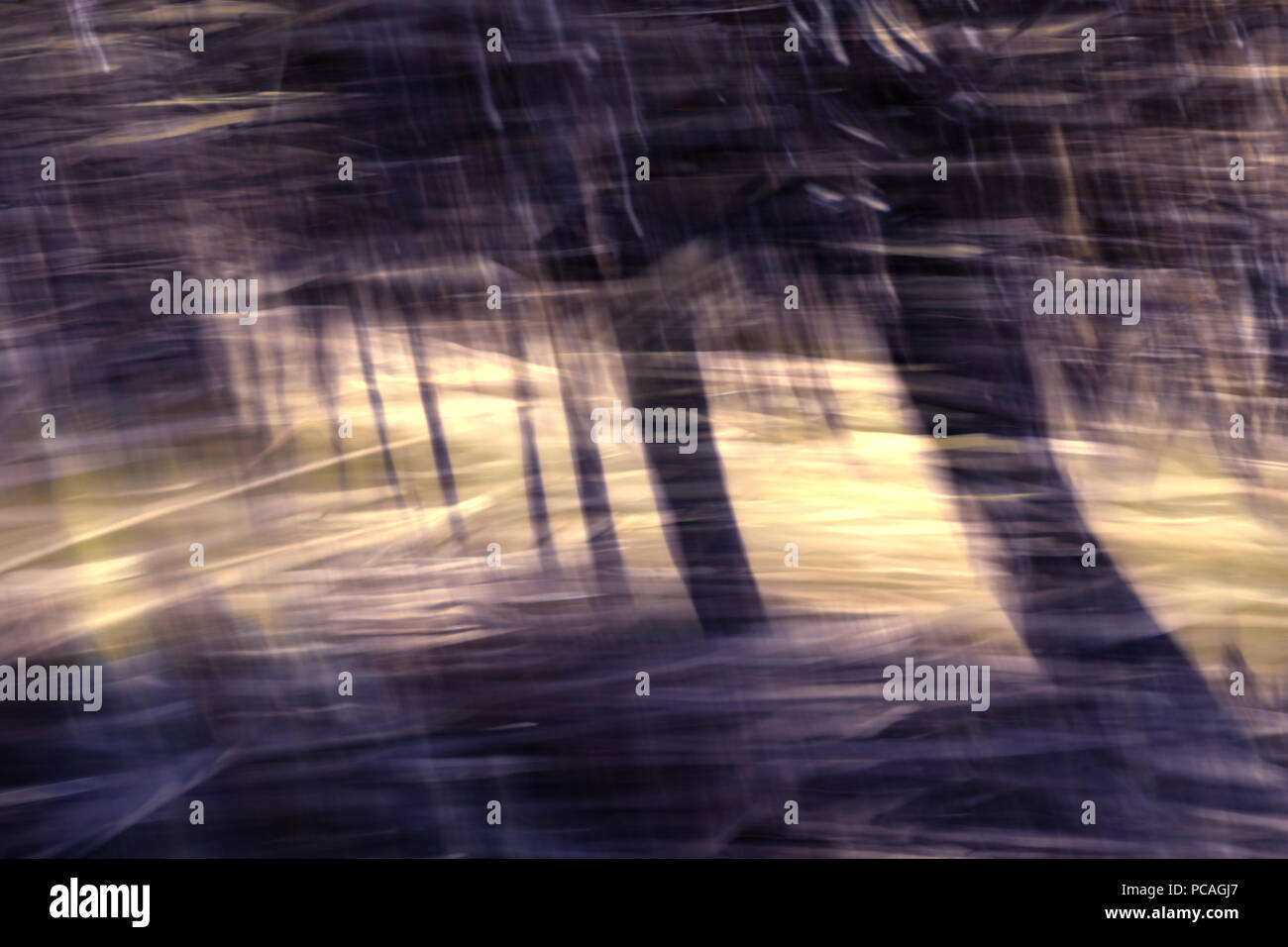 Environmental abstract nature landscapes from Glasgow, Scotland Stock ...