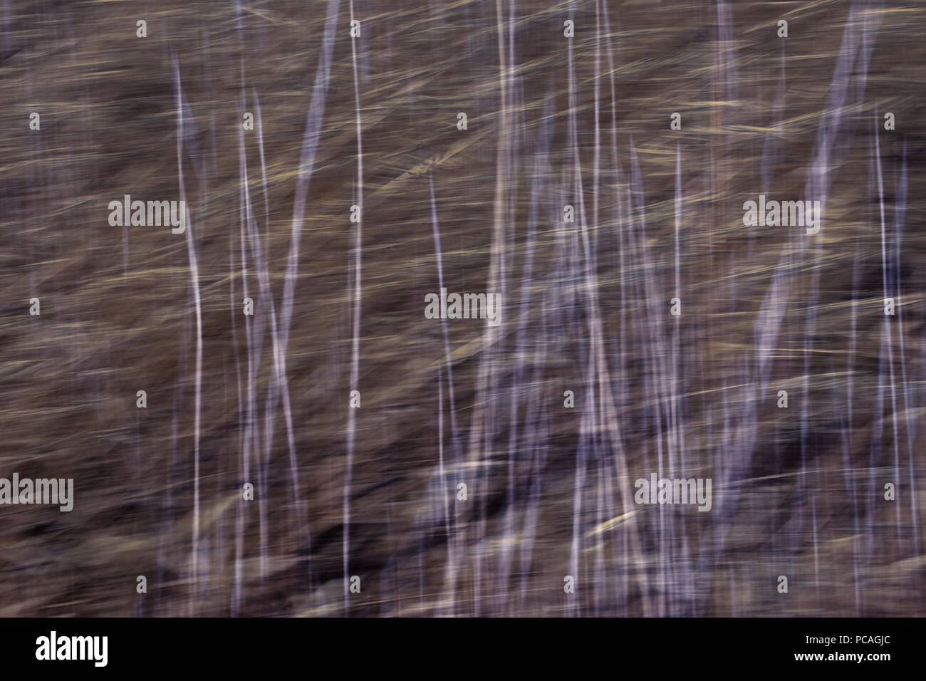 Environmental abstract nature landscapes from Glasgow, Scotland Stock ...