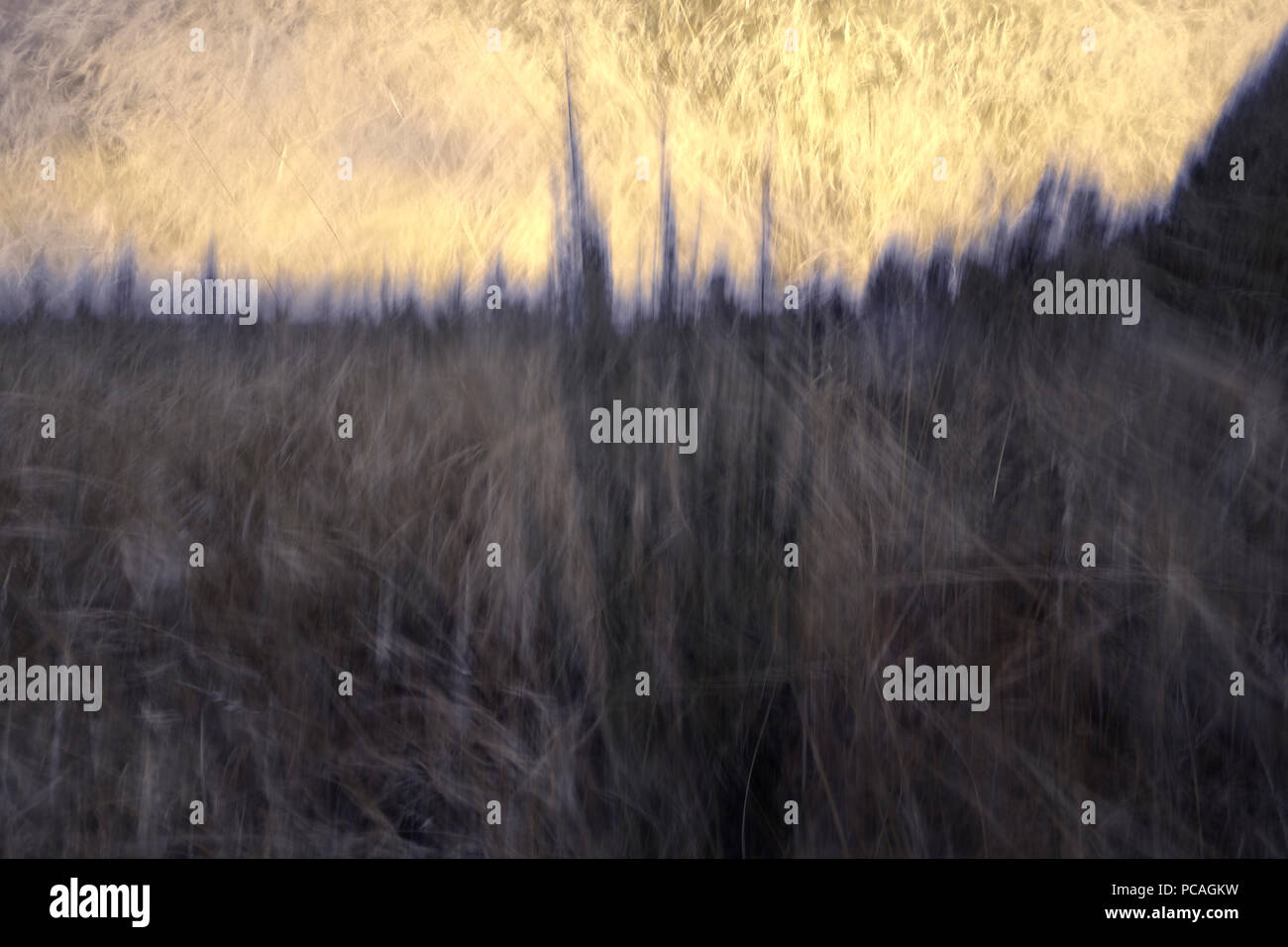 Environmental abstract nature landscapes from Glasgow, Scotland Stock ...