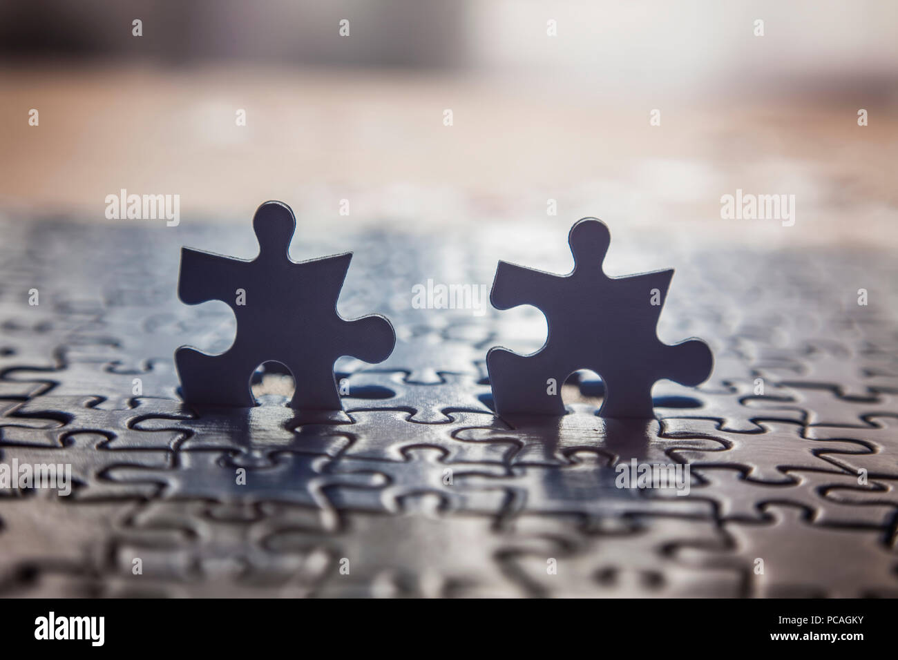 two puzzle pieces stand out from the crowd. business concept Stock ...