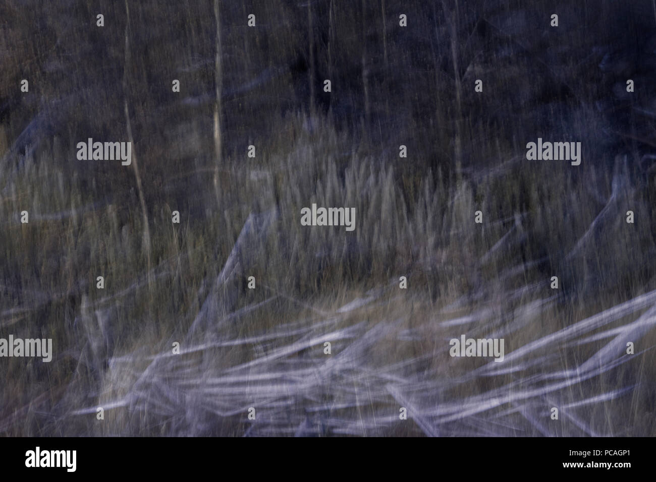 Environmental abstract nature landscapes from Glasgow, Scotland Stock ...