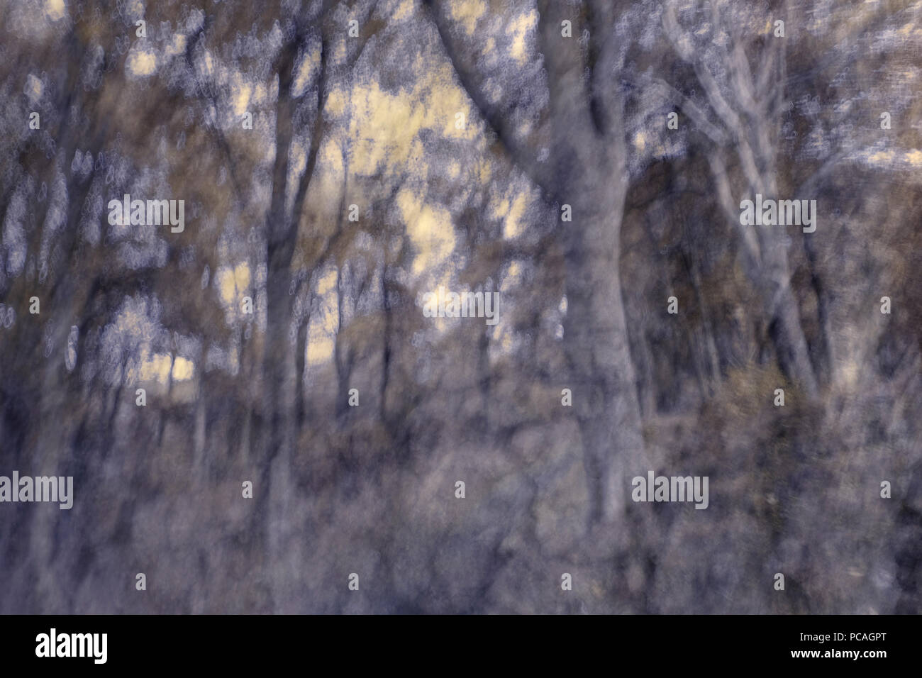 Environmental abstract nature landscapes from Glasgow, Scotland Stock ...