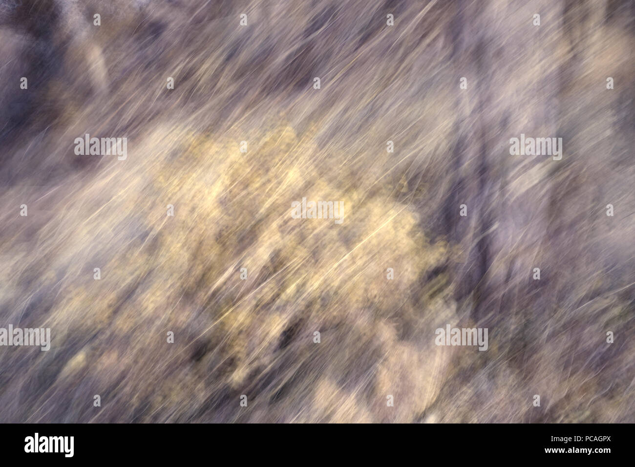 Environmental abstract nature landscapes from Glasgow, Scotland Stock ...