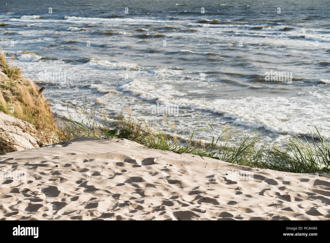 Shore grass hi-res stock photography and images - Alamy