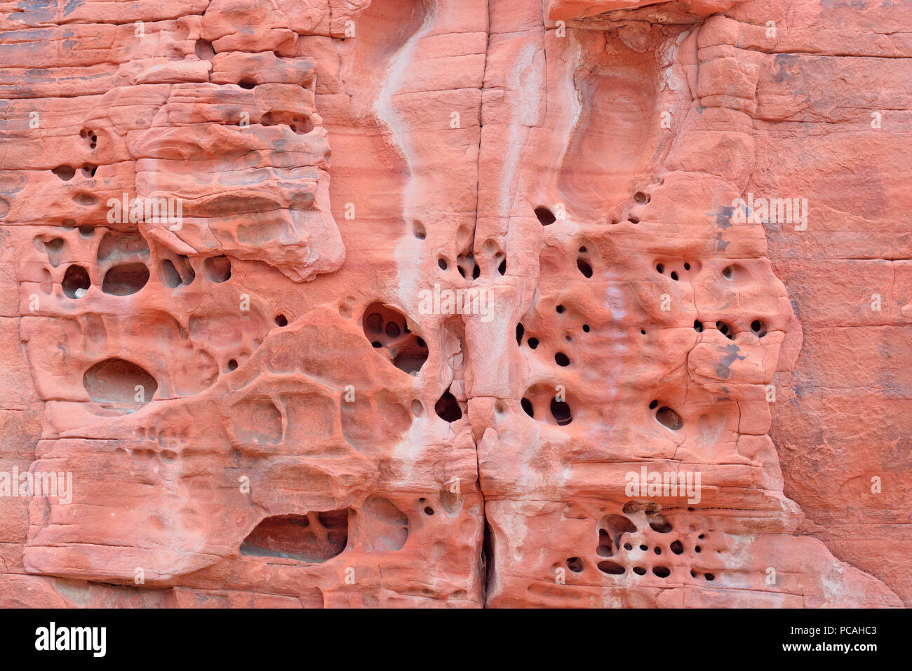 Weathered red rock formations in the desert, Valley of Fire State Park ...
