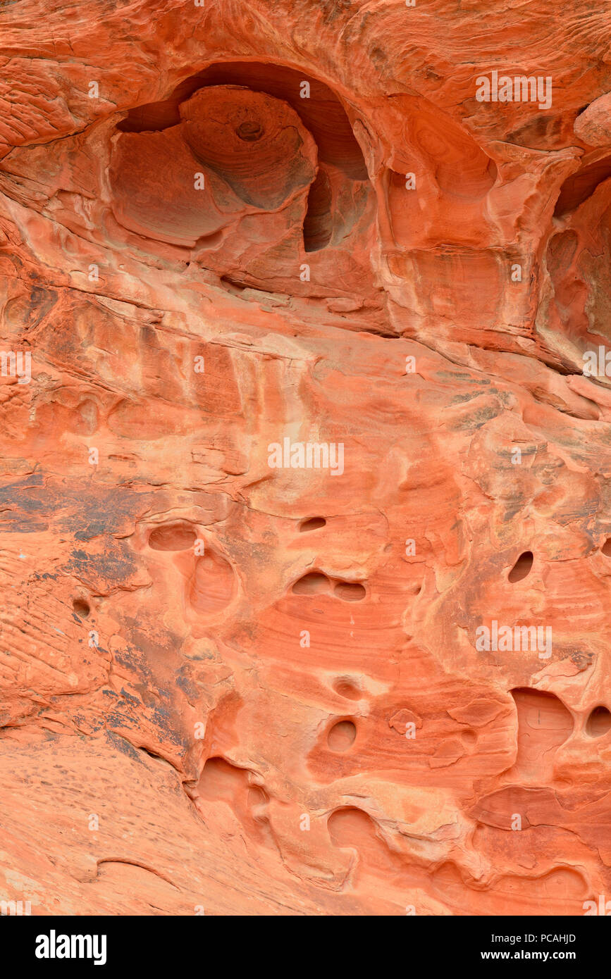 Weathered red rock formations in the desert, Valley of Fire State Park ...
