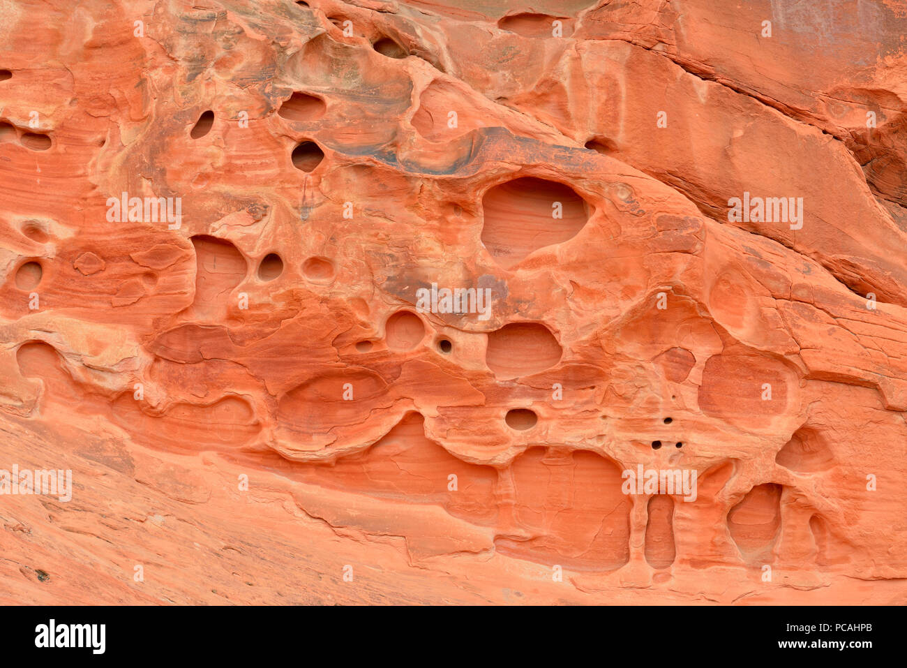 Weathered red rock formations in the desert, Valley of Fire State Park ...