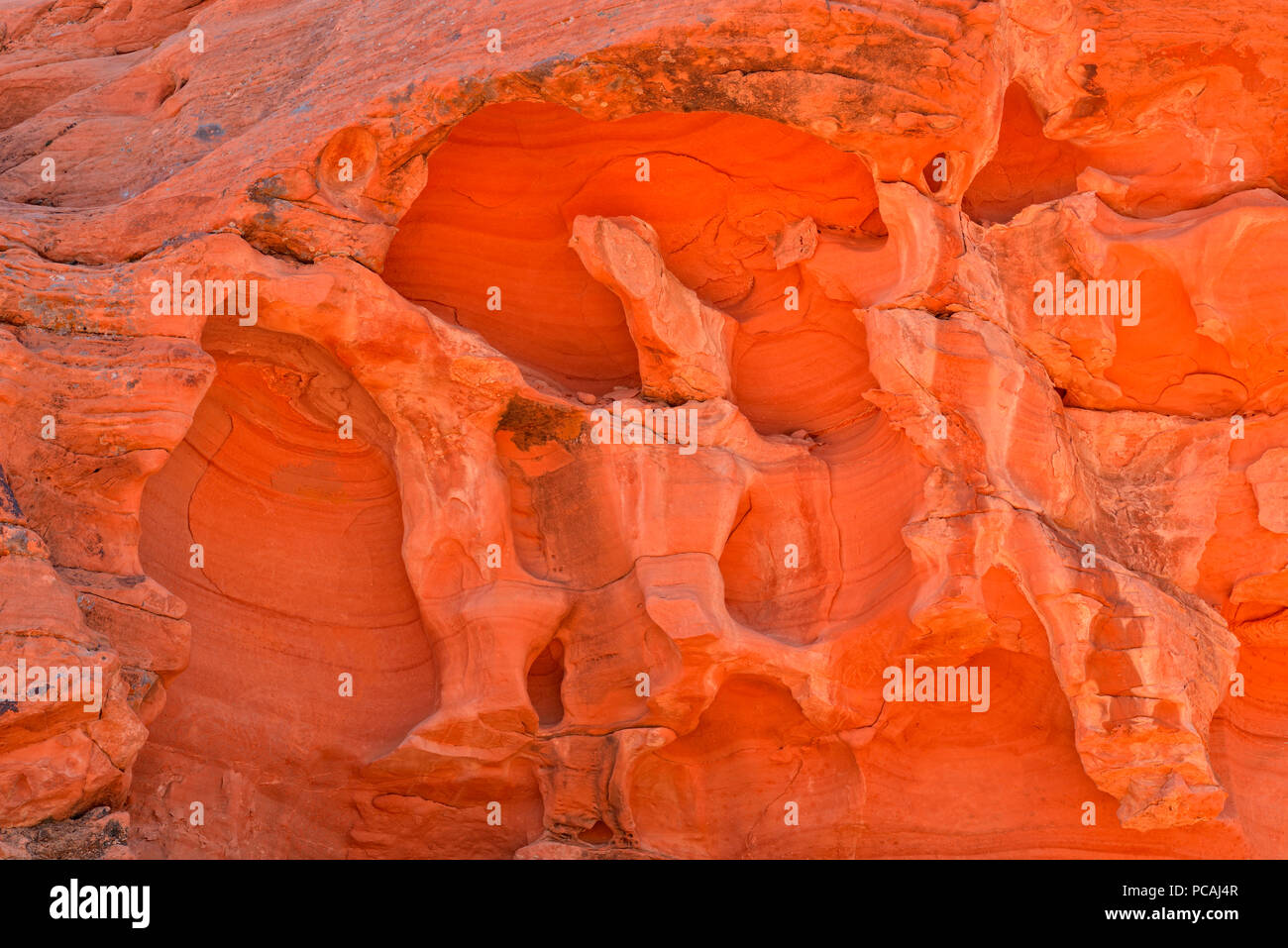 Weathered rocks on the Mouse's Tank trail, Valley of Fire State Park ...