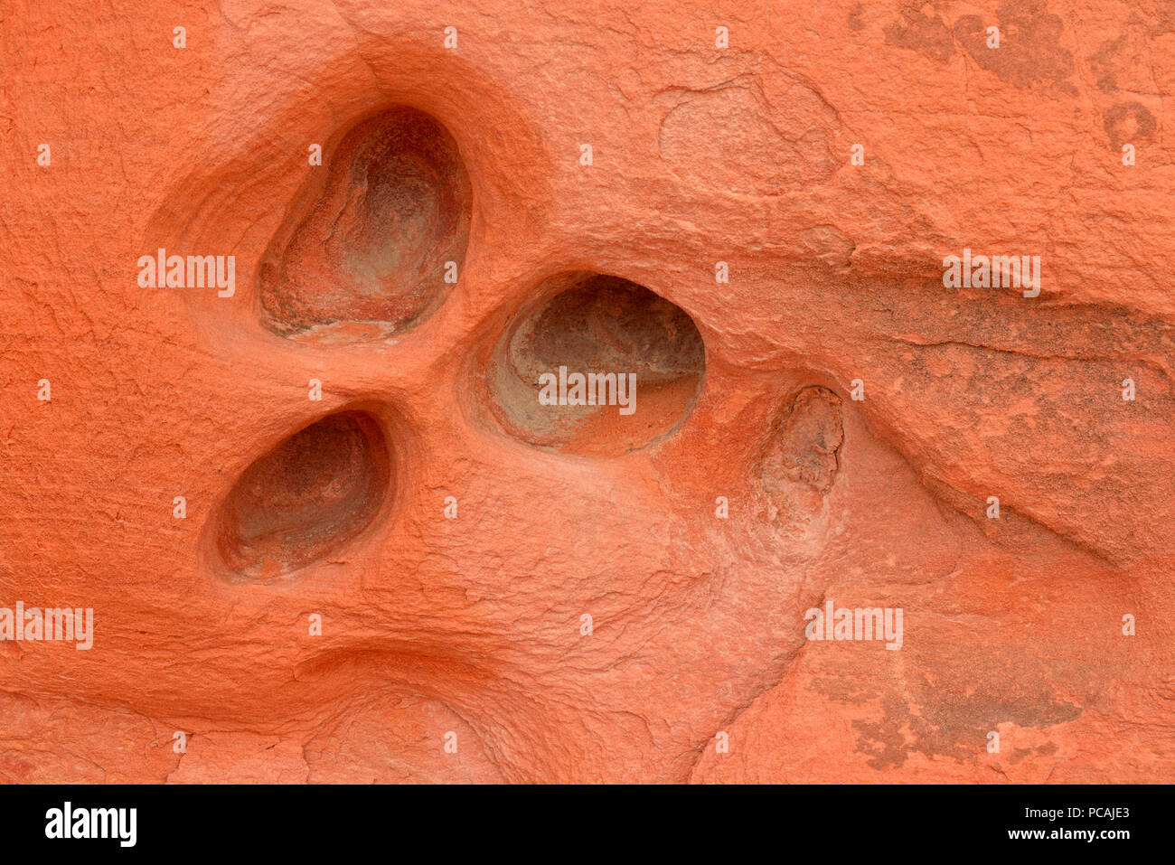 Weathered red rock formations in the desert, Valley of Fire State Park ...