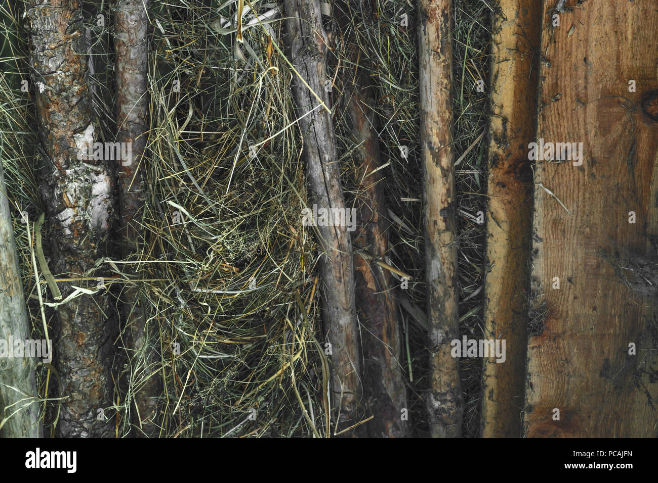 Old and dry wood branches placed in the barn attic background surface ...