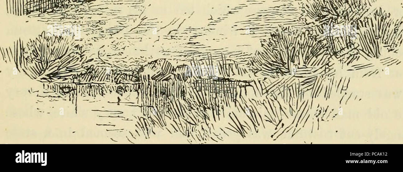 "The hereditary sheriffs of Galloway ; their "forebears" and friends ...