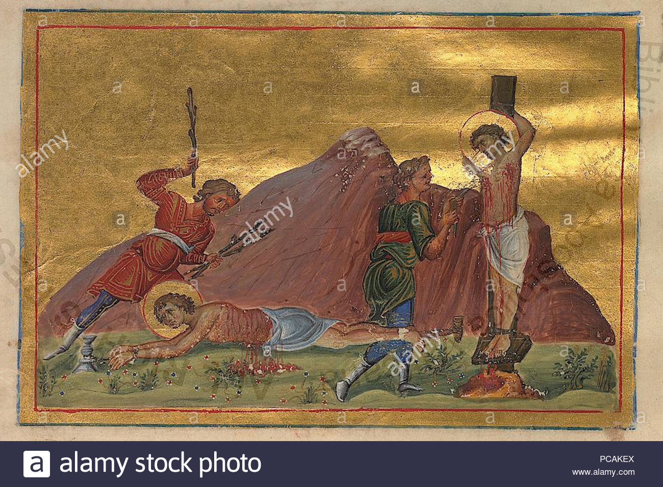 Didymus Stock Photos & Didymus Stock Images - Alamy