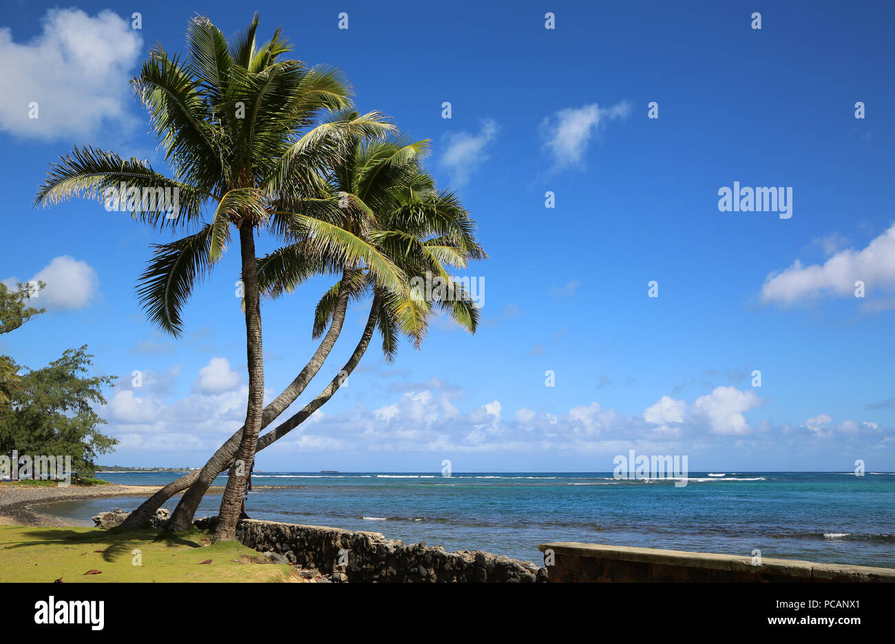 Aukai Beach, Oahu, Hawaii Stock Photo - Alamy