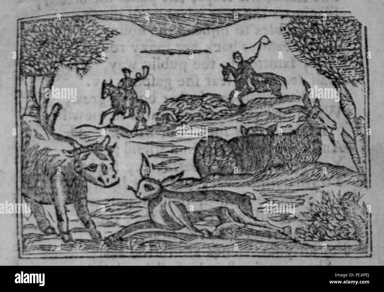 Friends walk Black and White Stock Photos & Images - Alamy