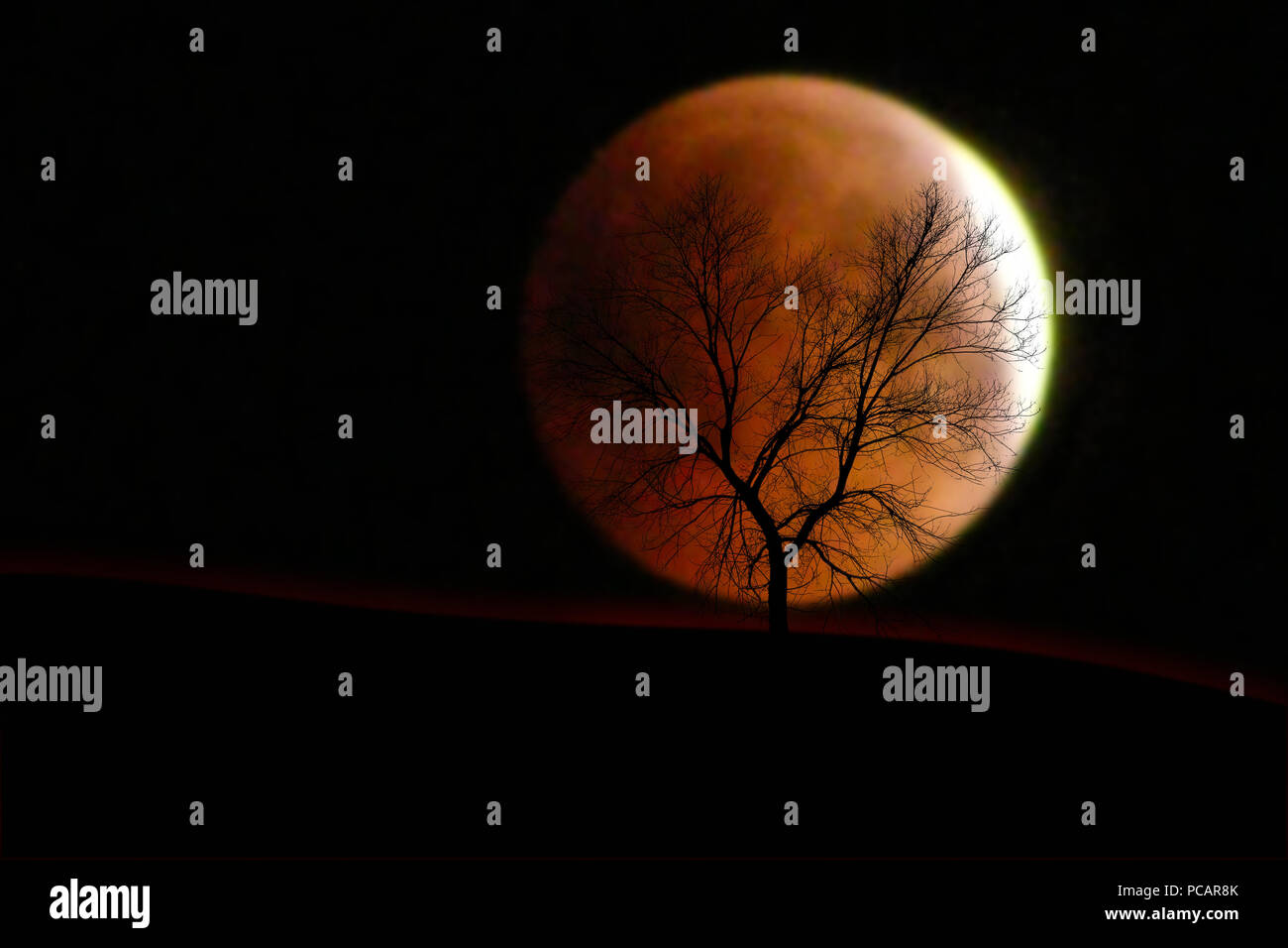 Night background moon tree hi-res stock photography and images - Alamy