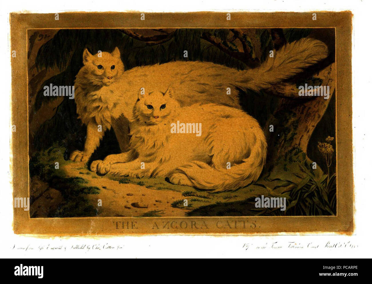 The world of animals Cut Out Stock Images & Pictures - Alamy