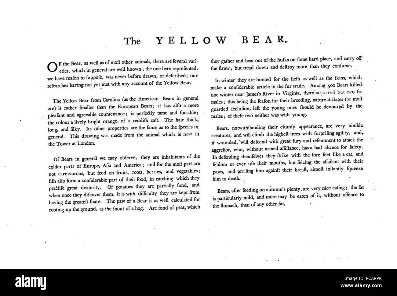 Engraved animal study Cut Out Stock Images & Pictures - Alamy