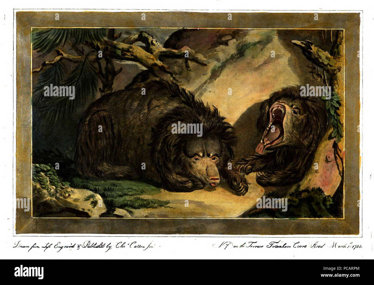 Catton charles Cut Out Stock Images & Pictures - Alamy