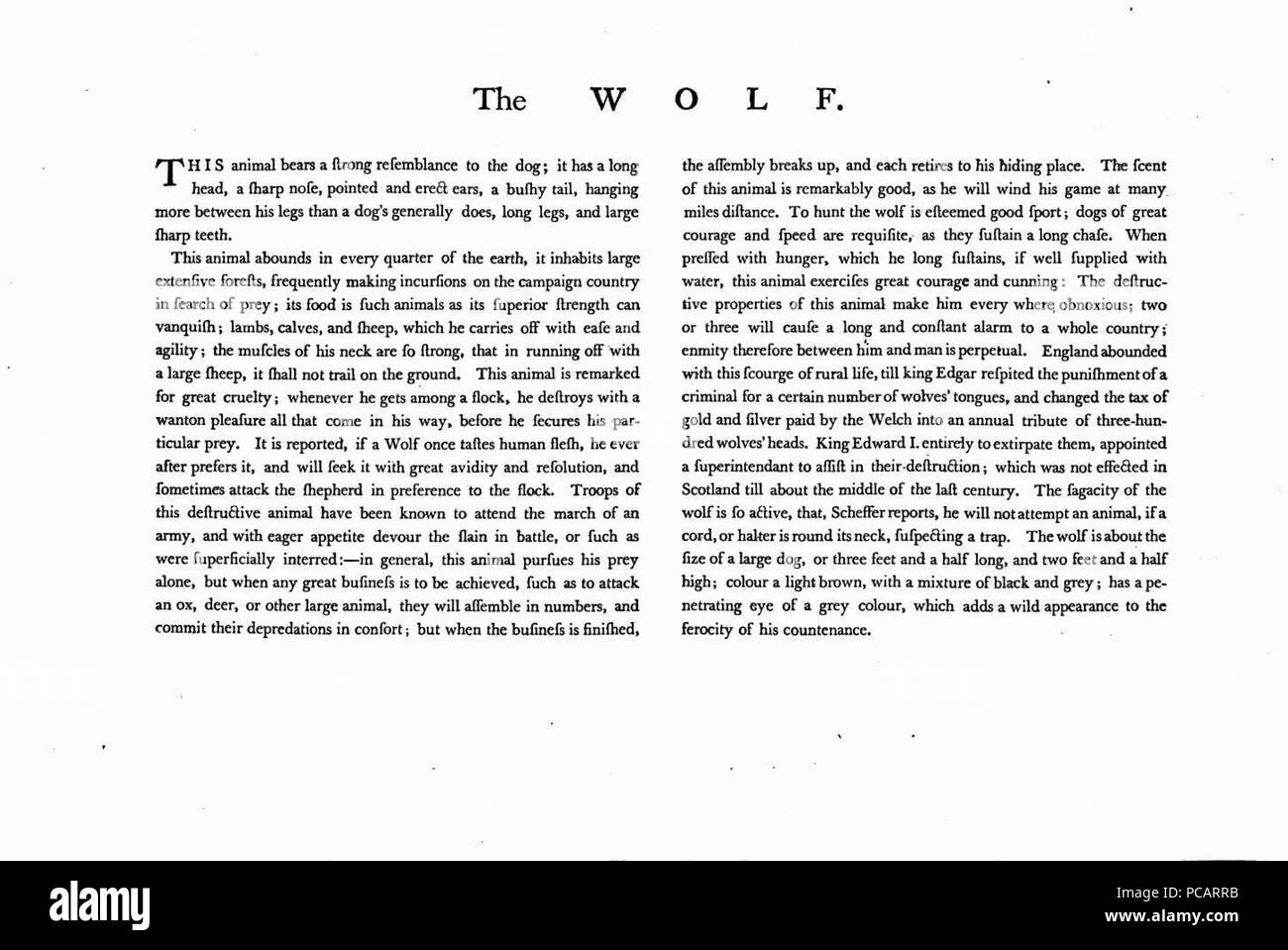 Naturalistic animal art Cut Out Stock Images & Pictures - Alamy