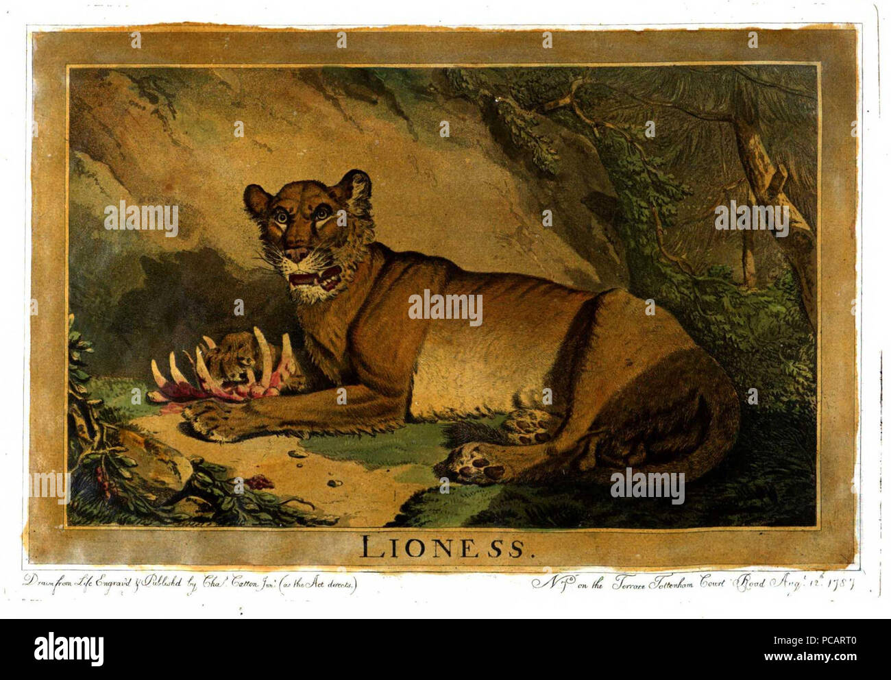 9 Charles Catton, Animals (1788) Page6 Image1 Stock Photo - Alamy