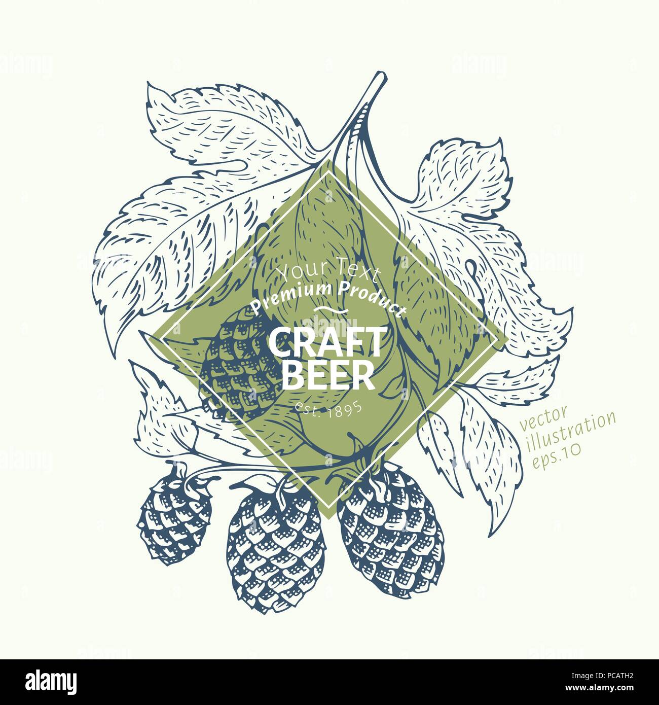 Beer hop logo template. Vector hand drawn hop illustration. Retro style ...