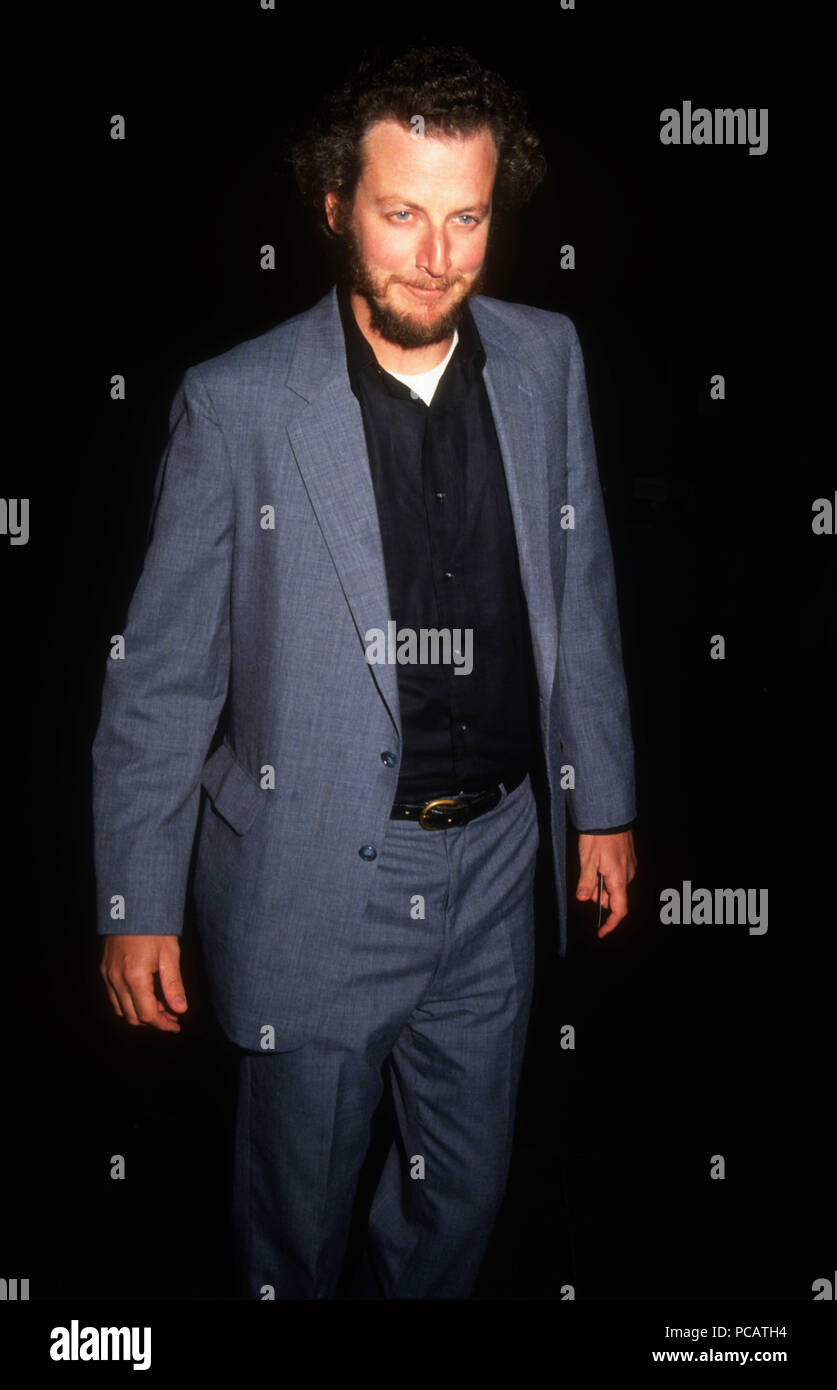 Daniel Stern Actor