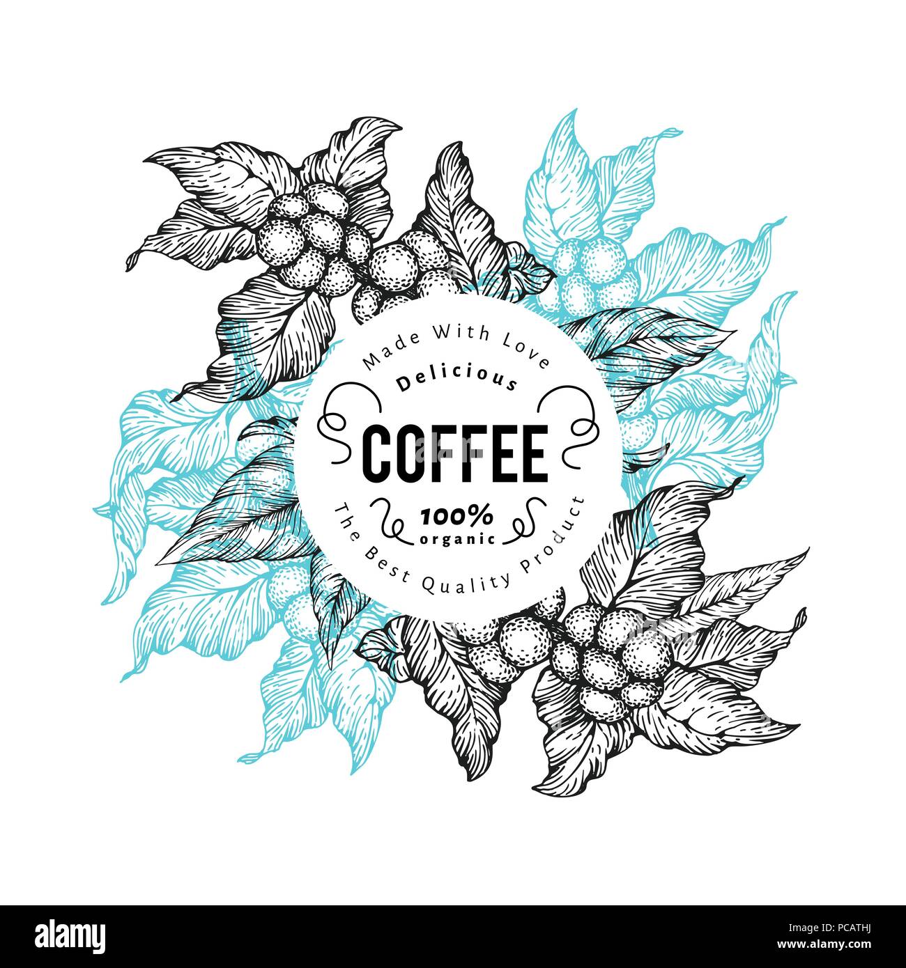 Coffee tree vector illustration. Retro coffee background. Hand drawn ...