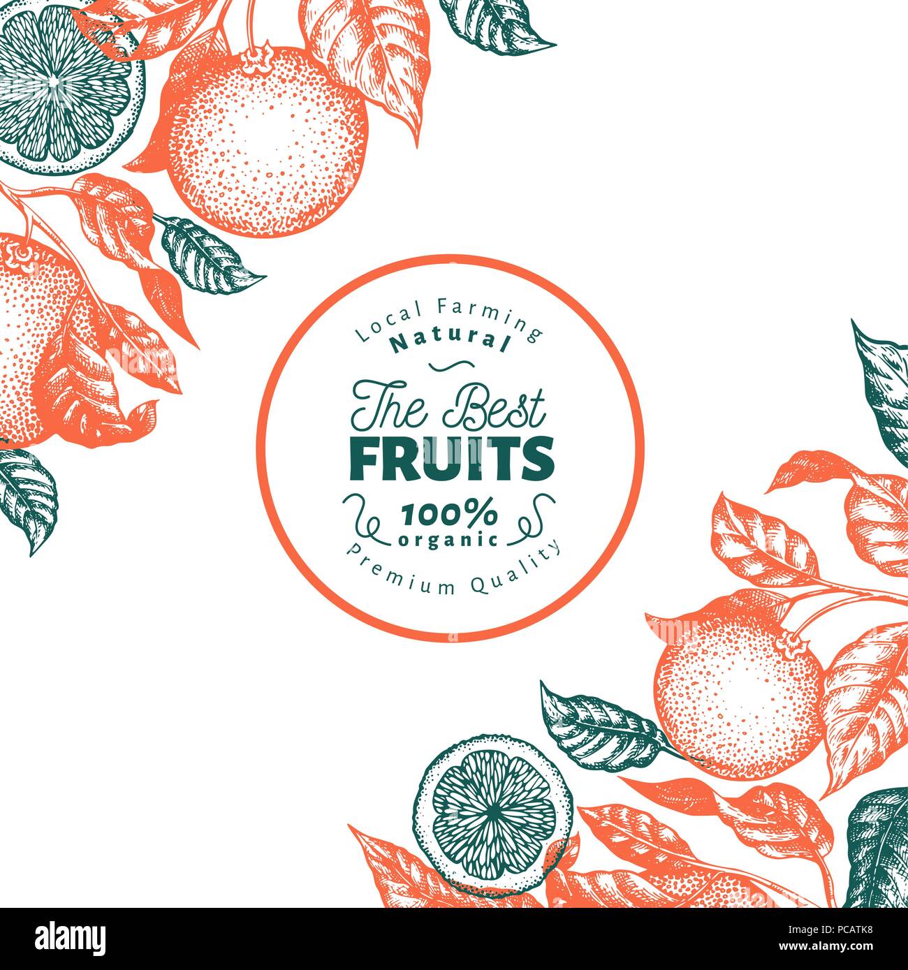 Orange fruit design template. Hand drawn vector fruit illustration ...