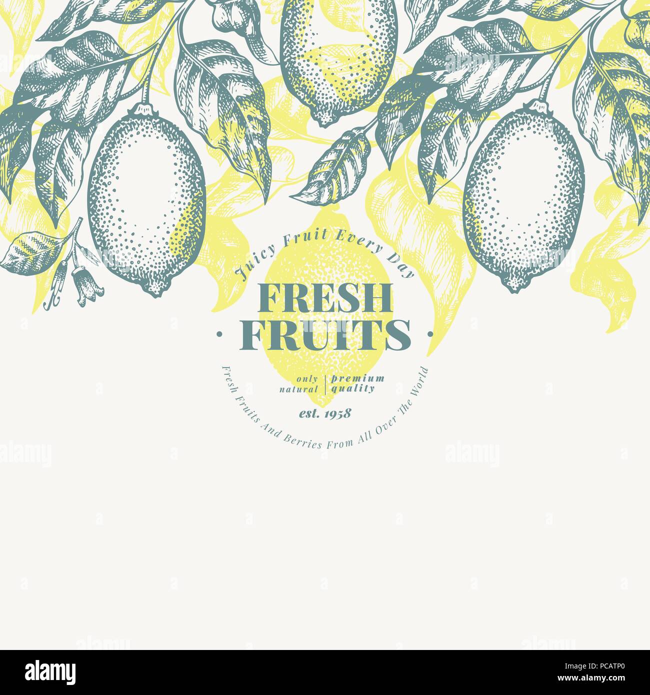 Lemon tree banner template. Hand drawn vector fruit illustration ...