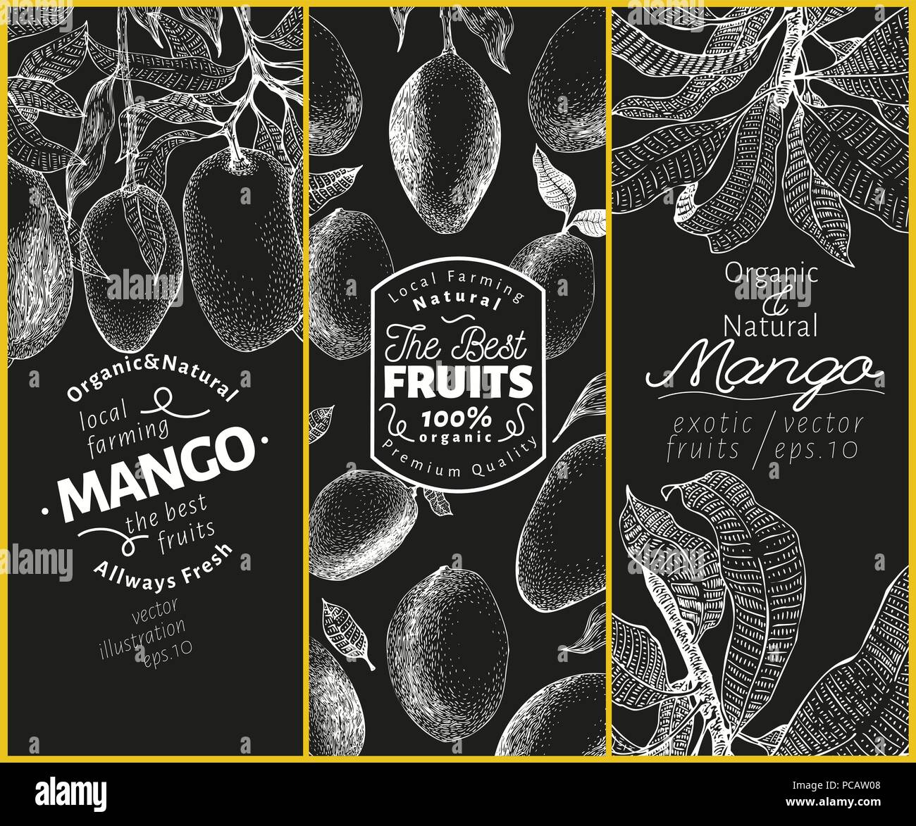 Mango fruit banner set. Hand drawn vector fruit illustration on chalk ...