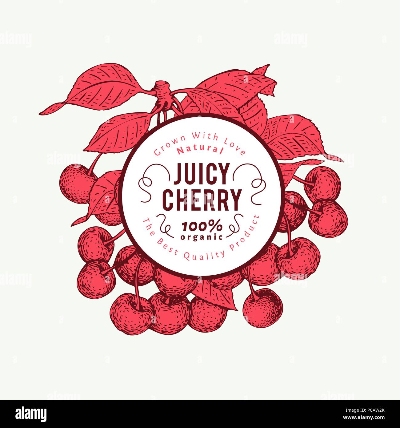 Cherry berry design template. Hand drawn vector fruit illustration ...